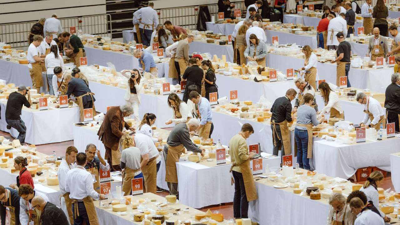 Cremo achieves a remarkable performance at the World Cheese Awards 2025