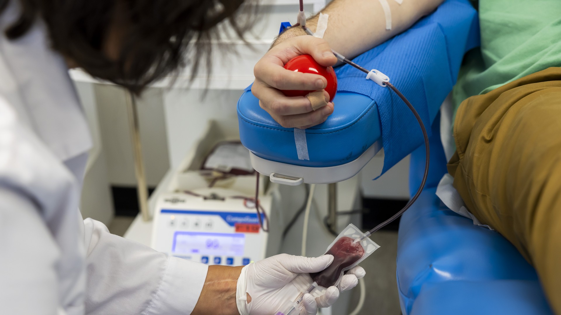 New blood donation rules to come into force on 1 February 2026 ...